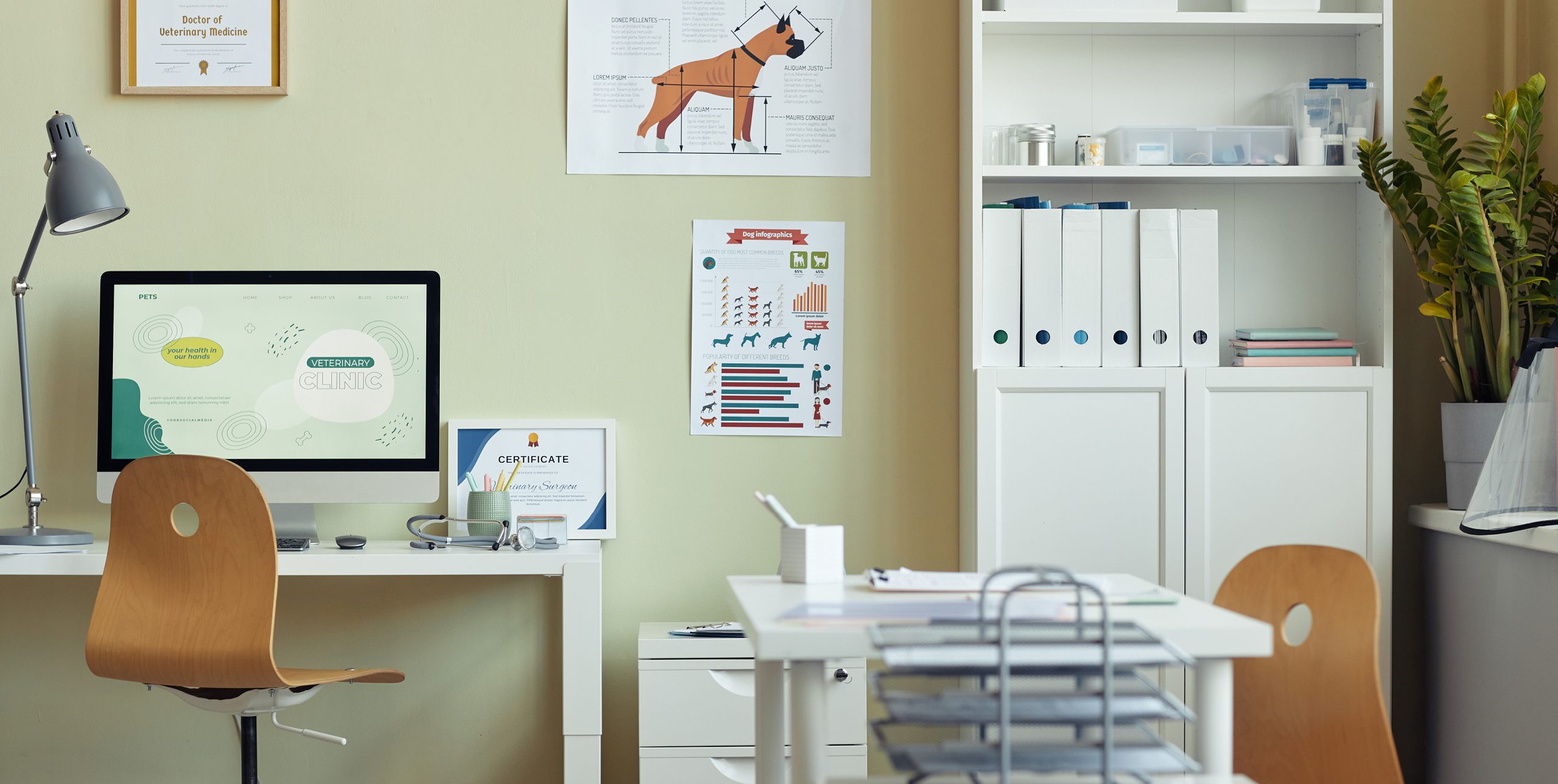 Designing and Building a Veterinary Clinic - McCree